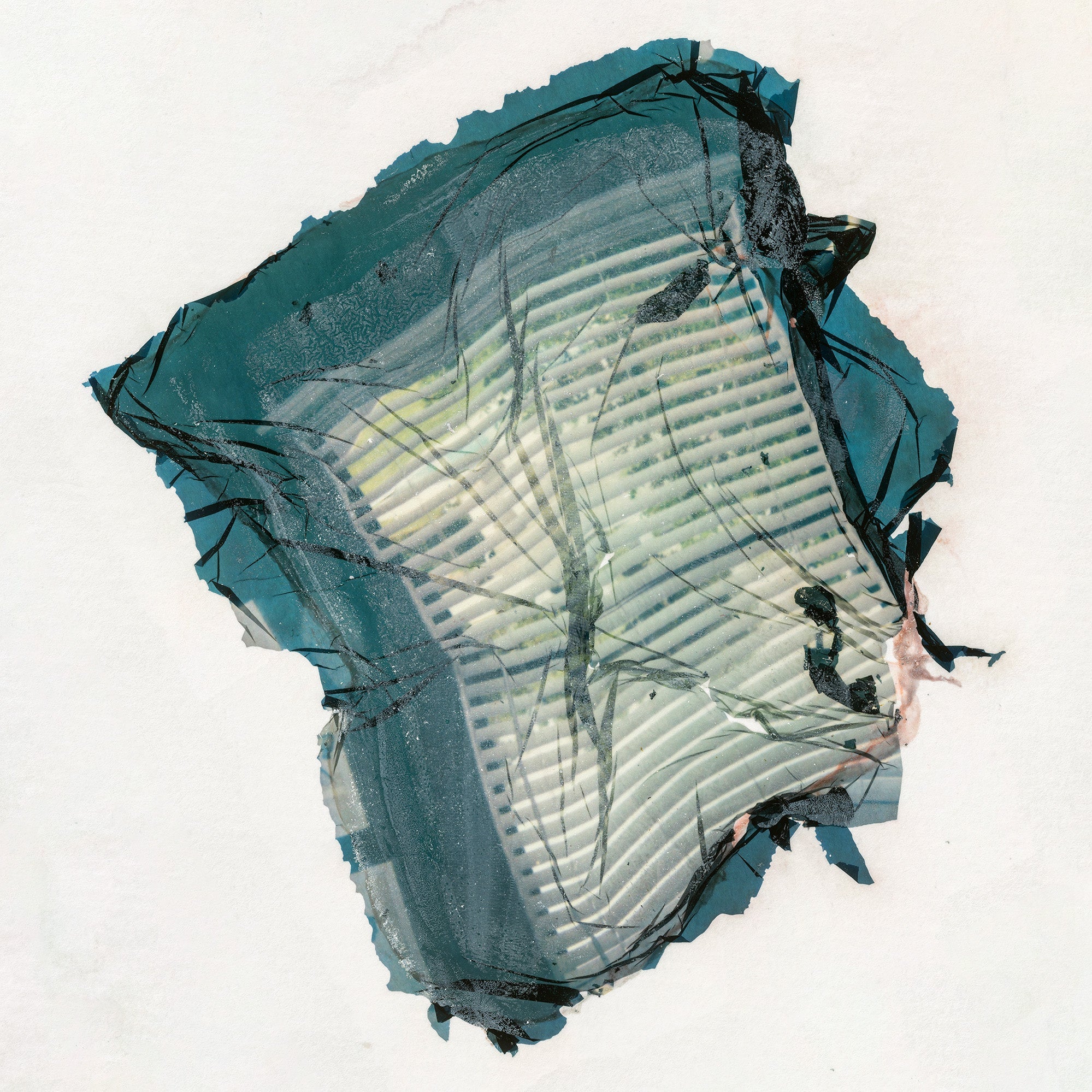 Out of My Window: Twist and Shout – ArtLifting