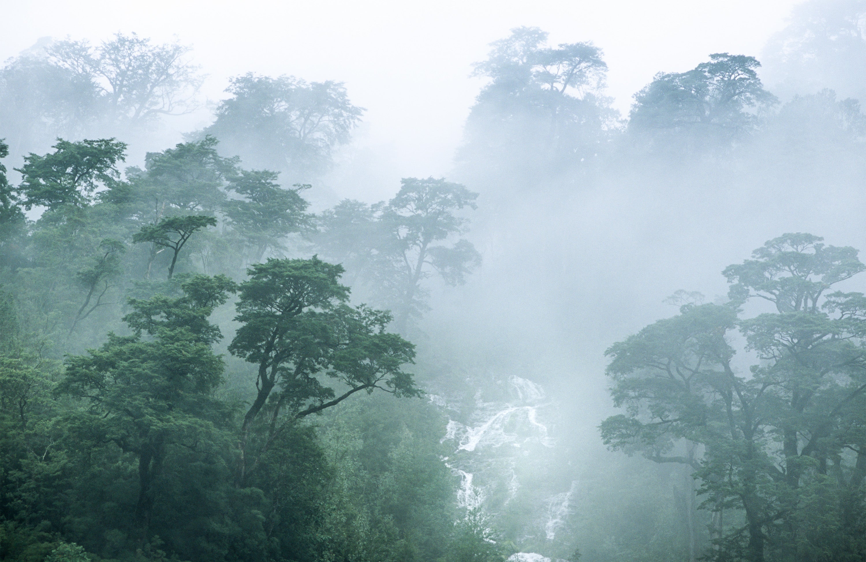 Mystique – ArtLifting