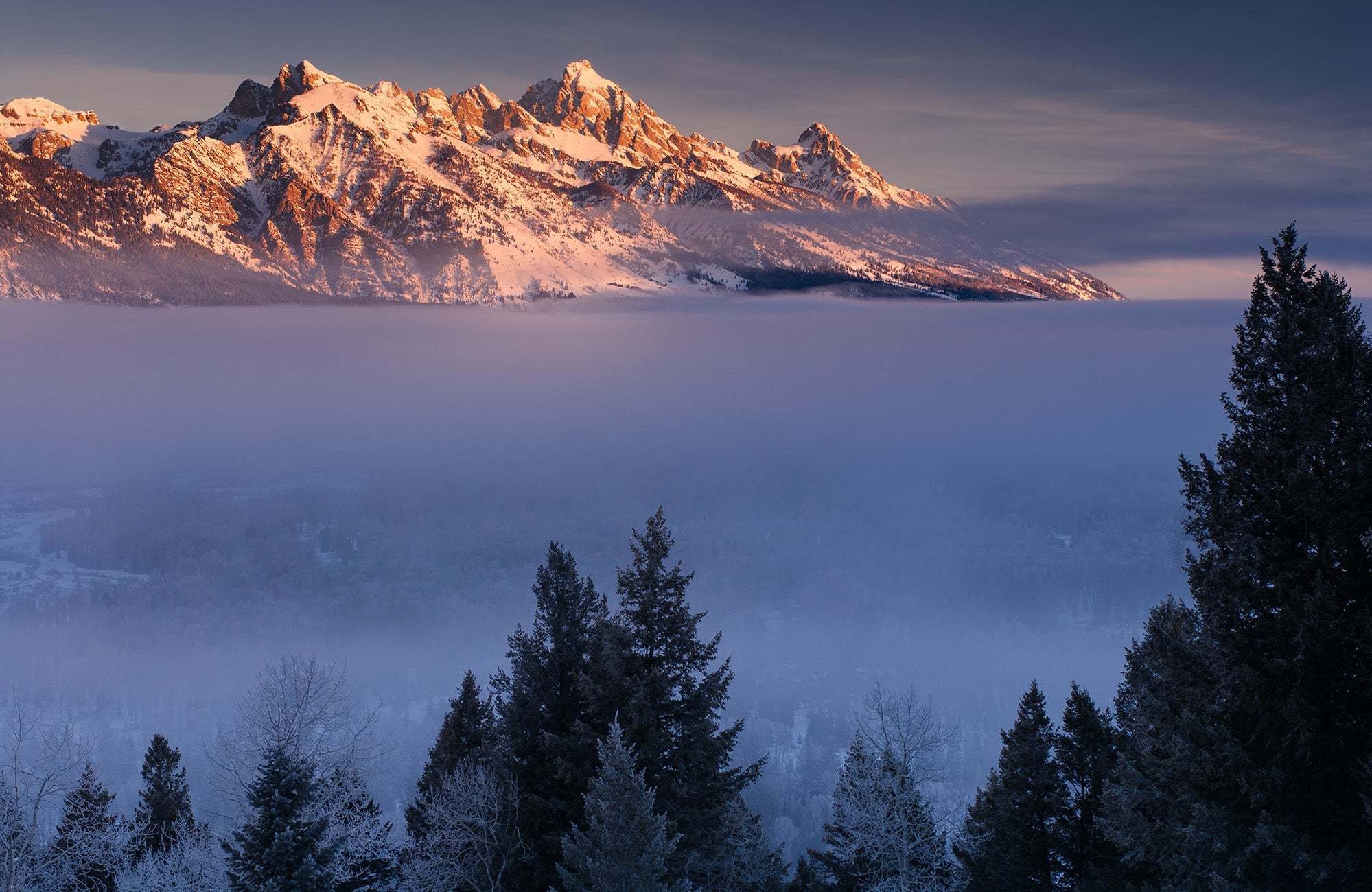 Valley Veil – ArtLifting