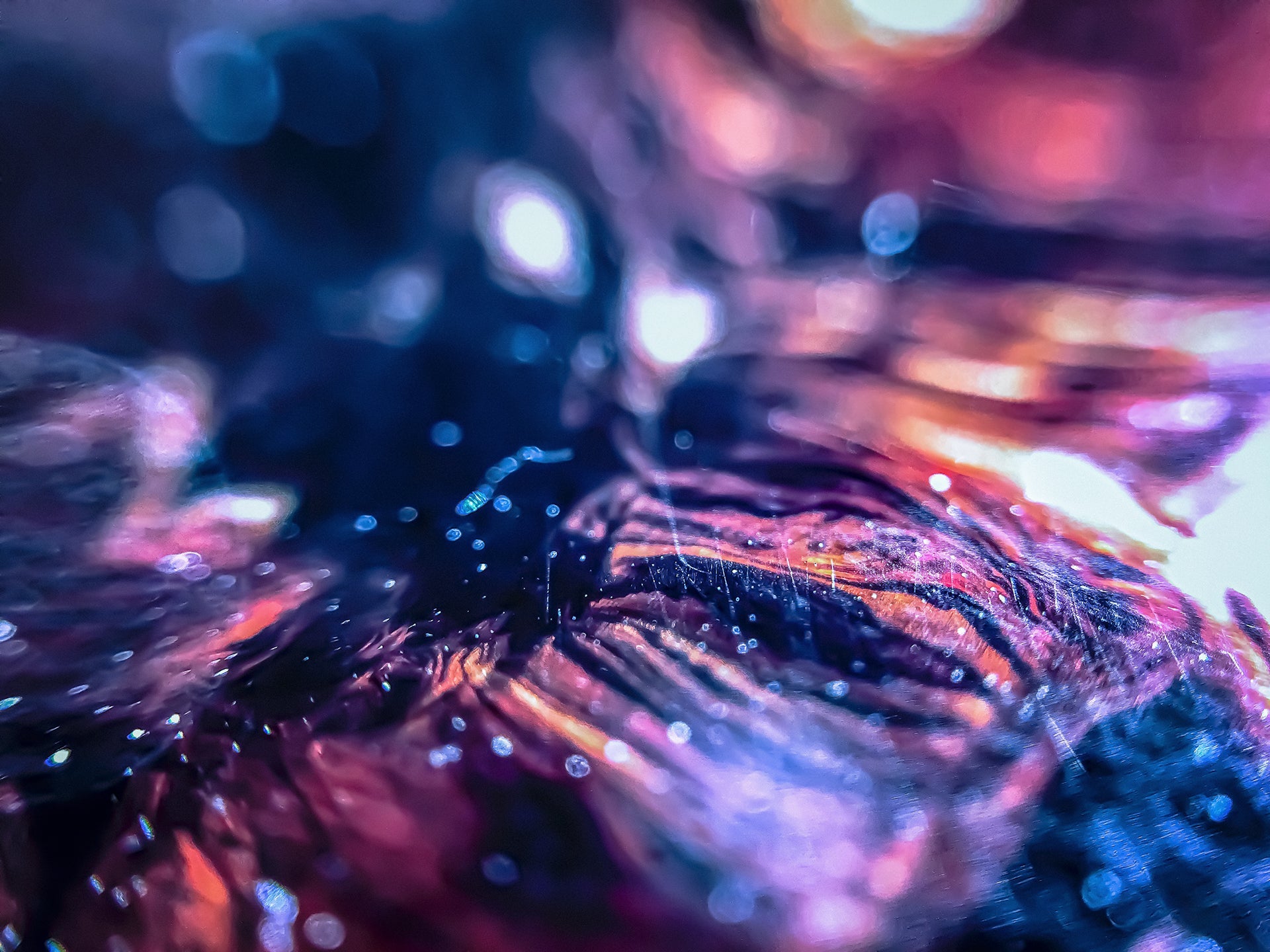 Gravity – ArtLifting