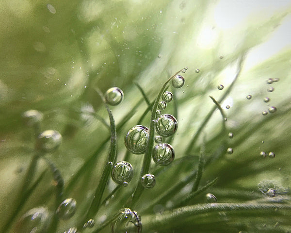 Underwater at Night – ArtLifting