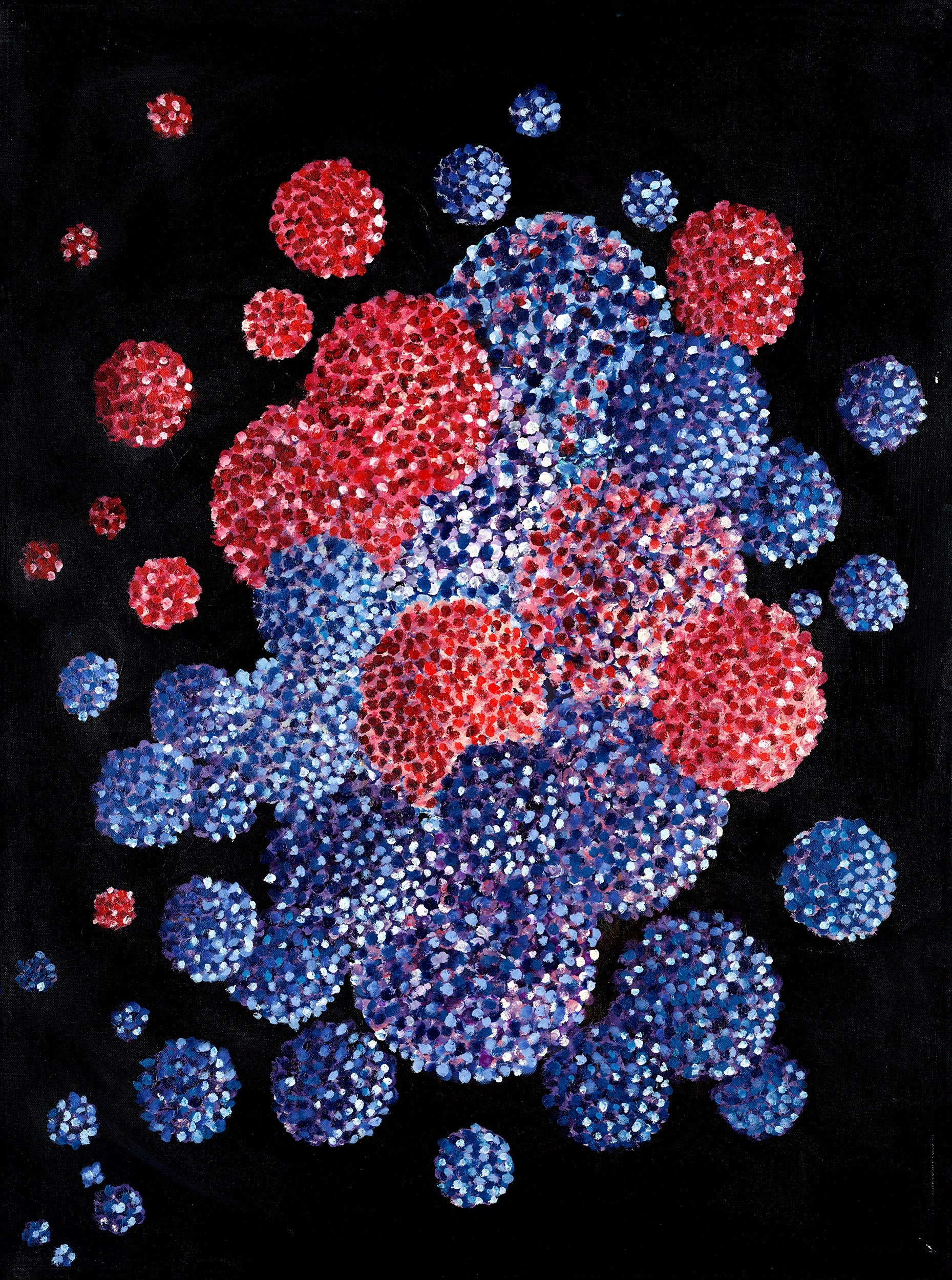 Flying Hydrangenias – ArtLifting