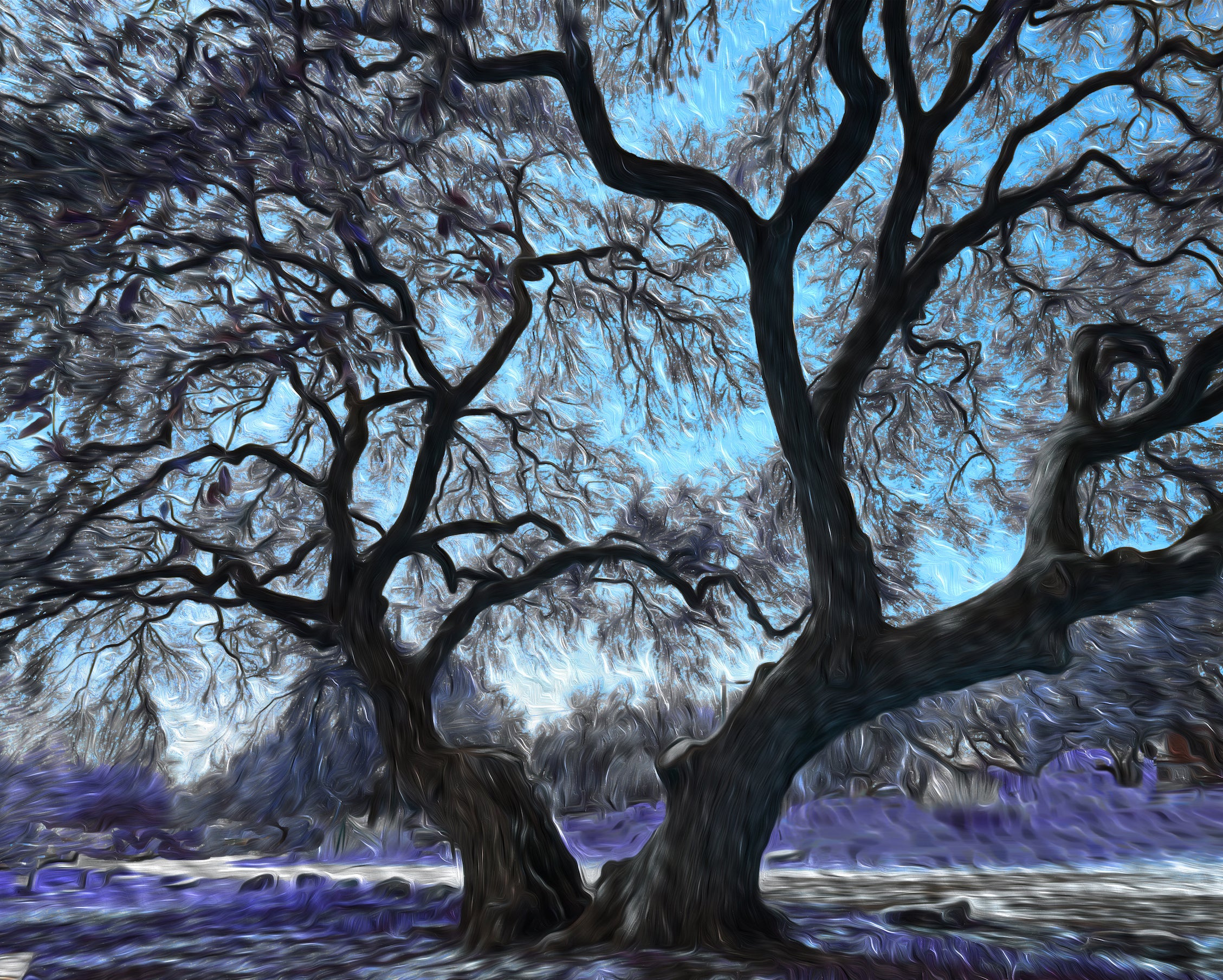 Blanco River Tree Blue – ArtLifting