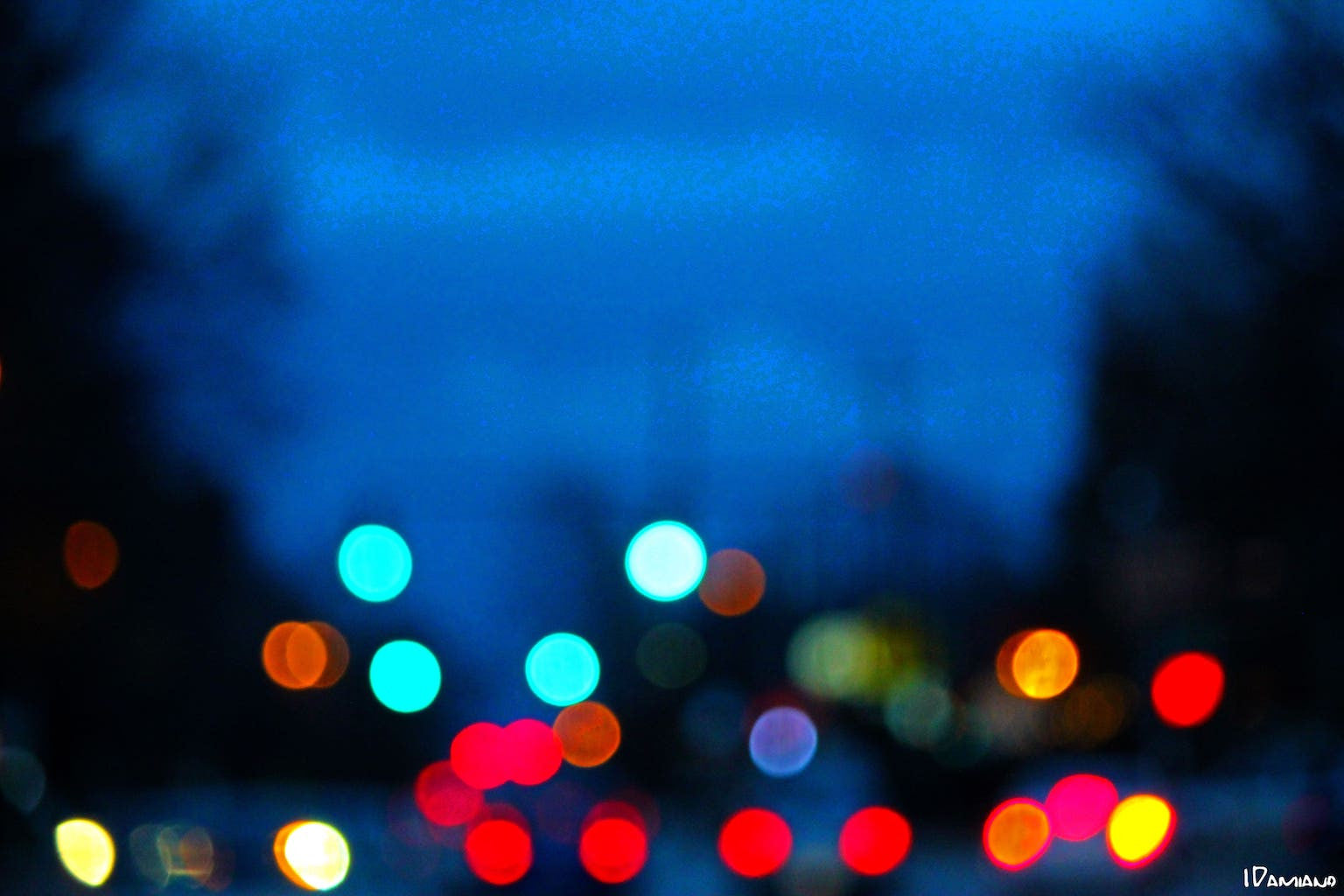 City Lights – ArtLifting