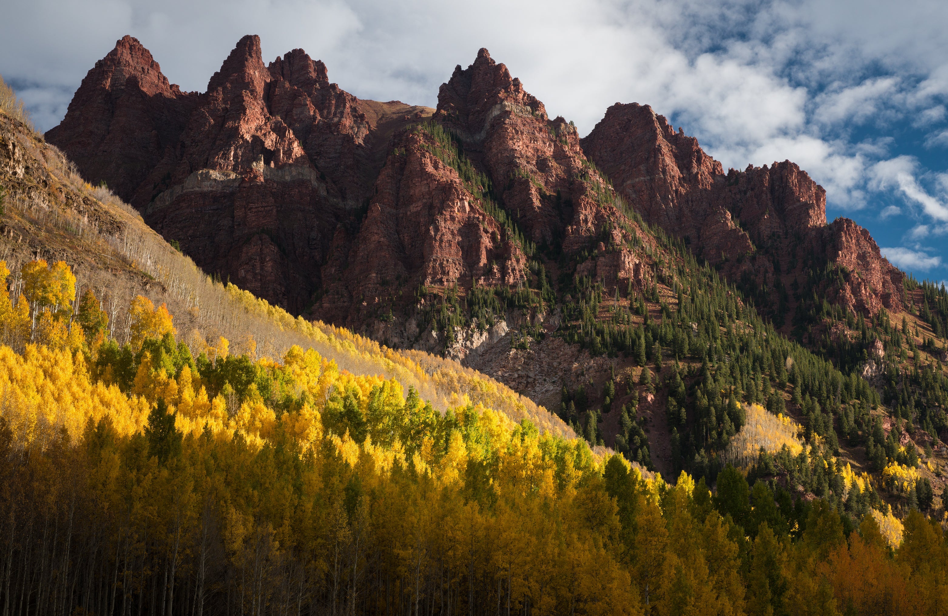 Rugged Red – ArtLifting