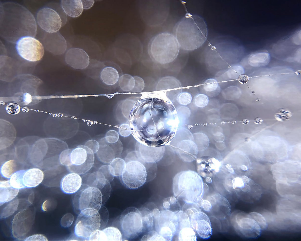 All The Lights – ArtLifting