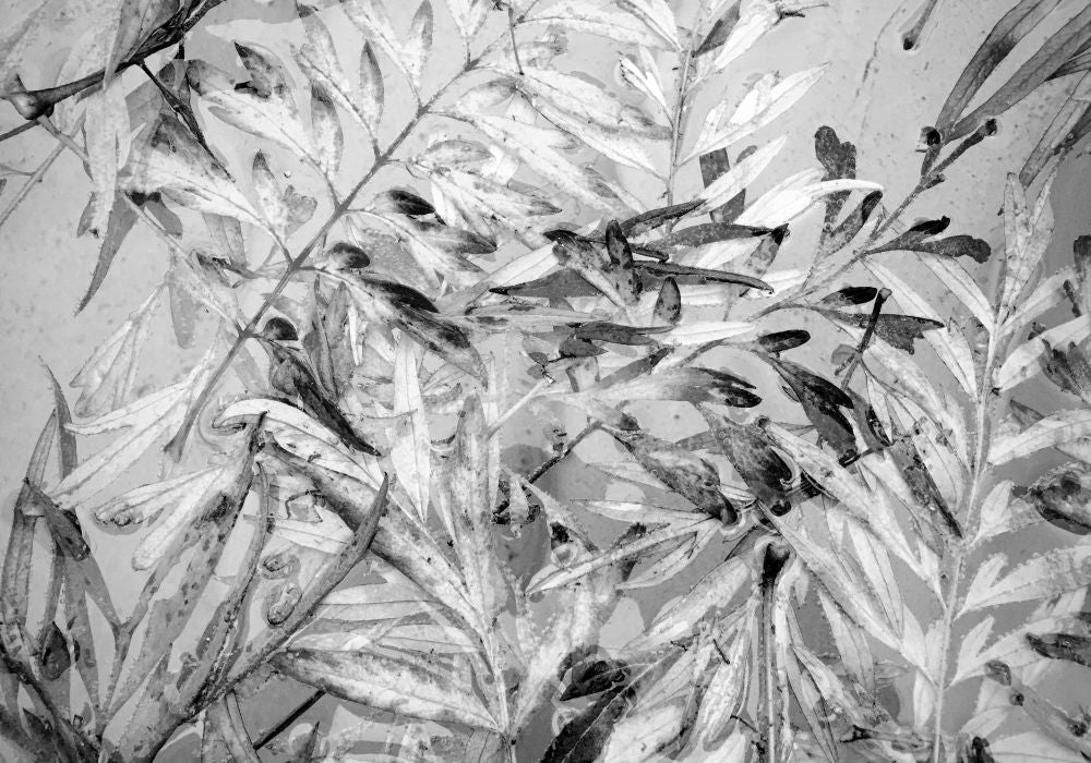 Etched in Water and Stormy Light – ArtLifting