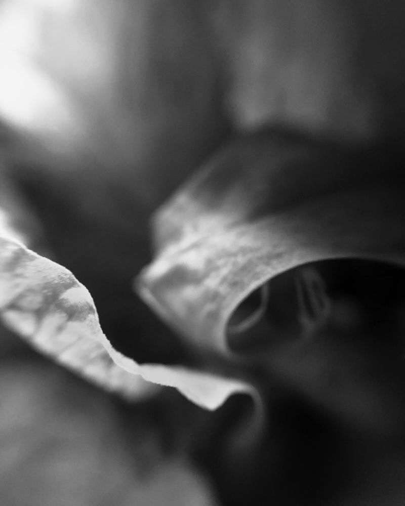 Into and Under – ArtLifting