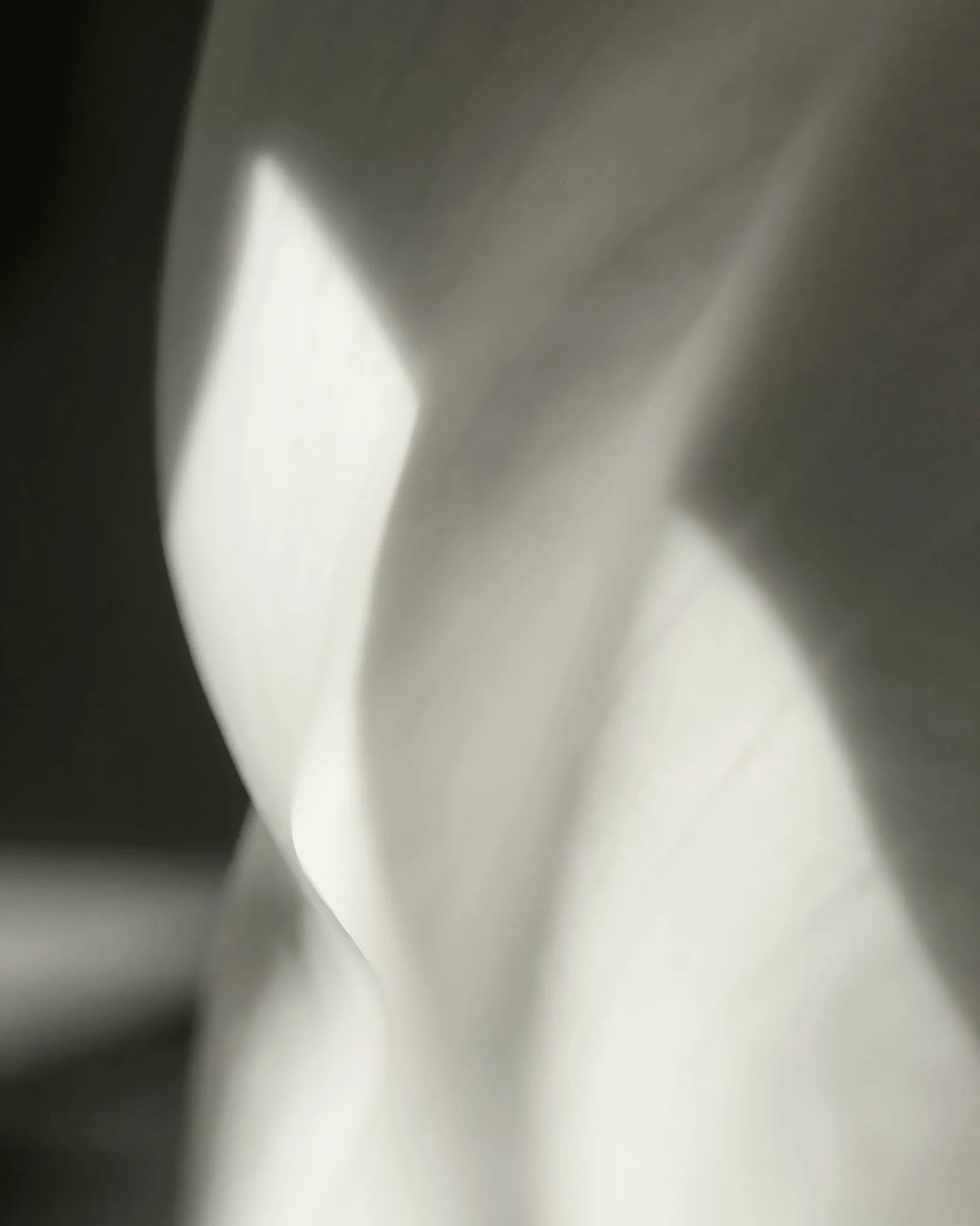 Light Catcher – ArtLifting