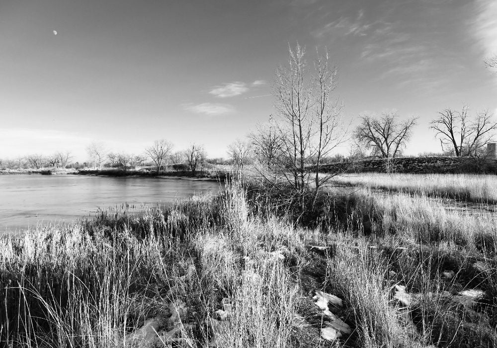 Lakeside 1 – ArtLifting