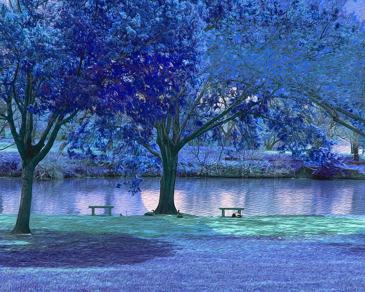 Blue Park Monday – ArtLifting