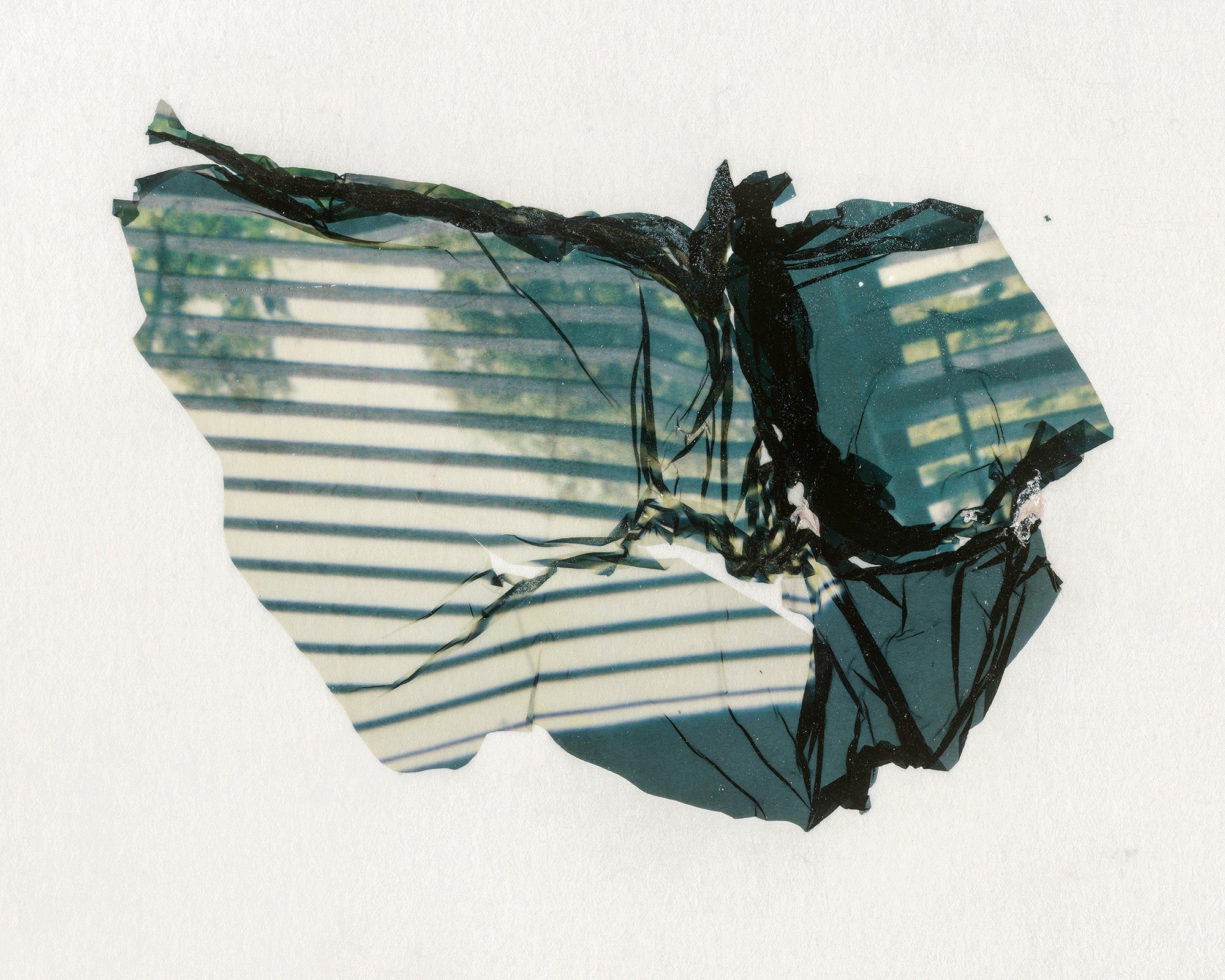 Out of My Window: Phoenix – ArtLifting