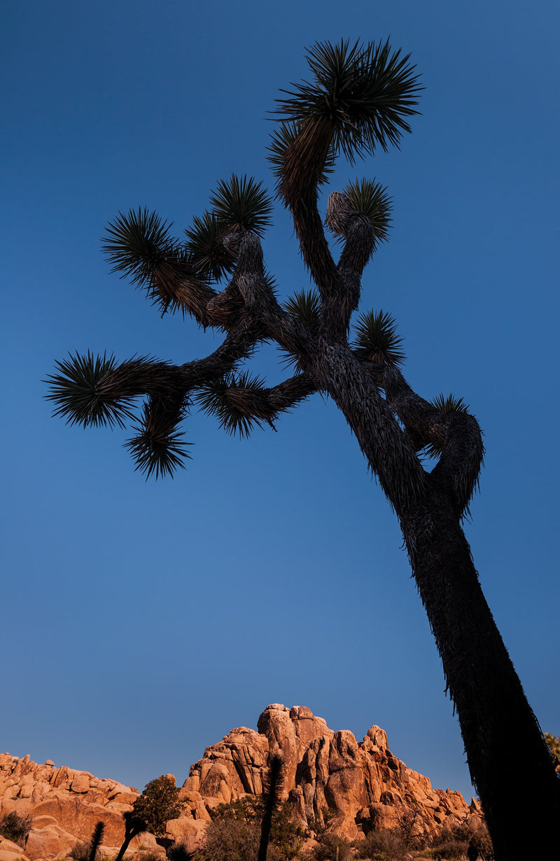 All Prints – Page 5 – ArtLifting