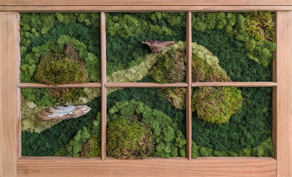 Shroomscape #2 – ArtLifting