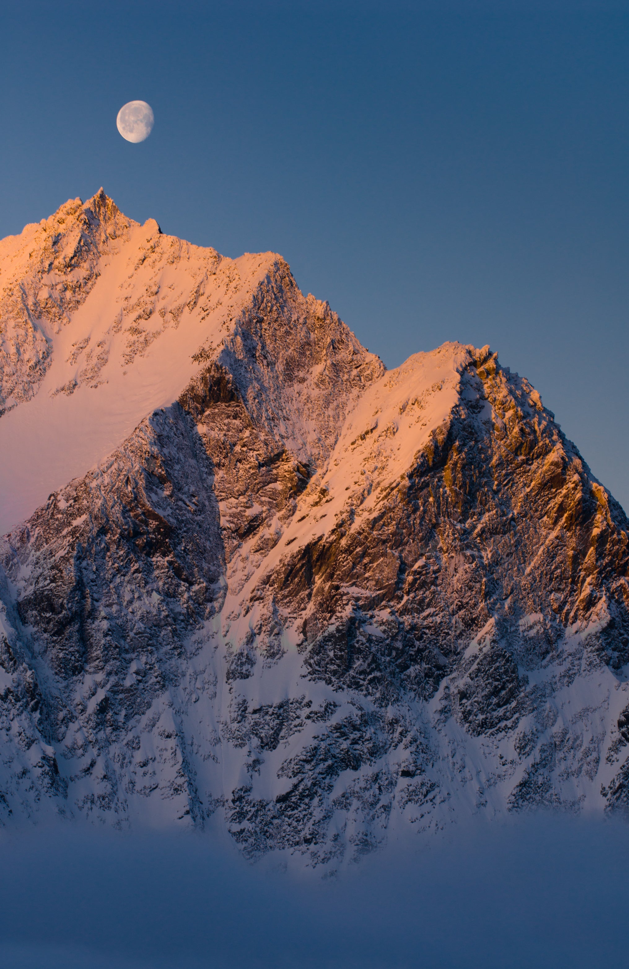 Morning Glory – ArtLifting