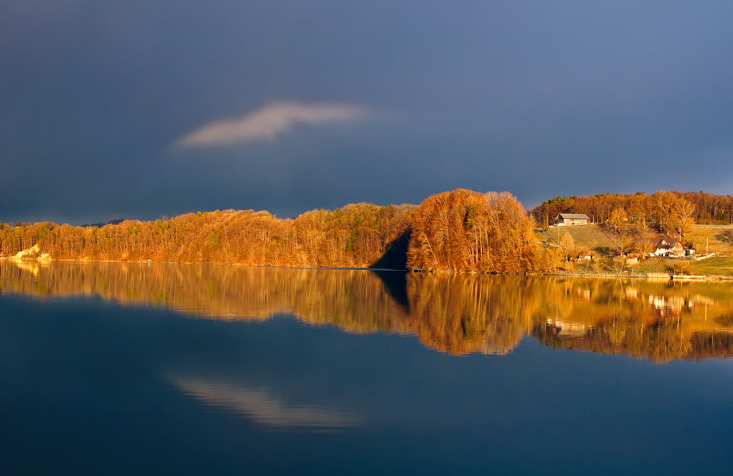 Mirrored Beauty – ArtLifting