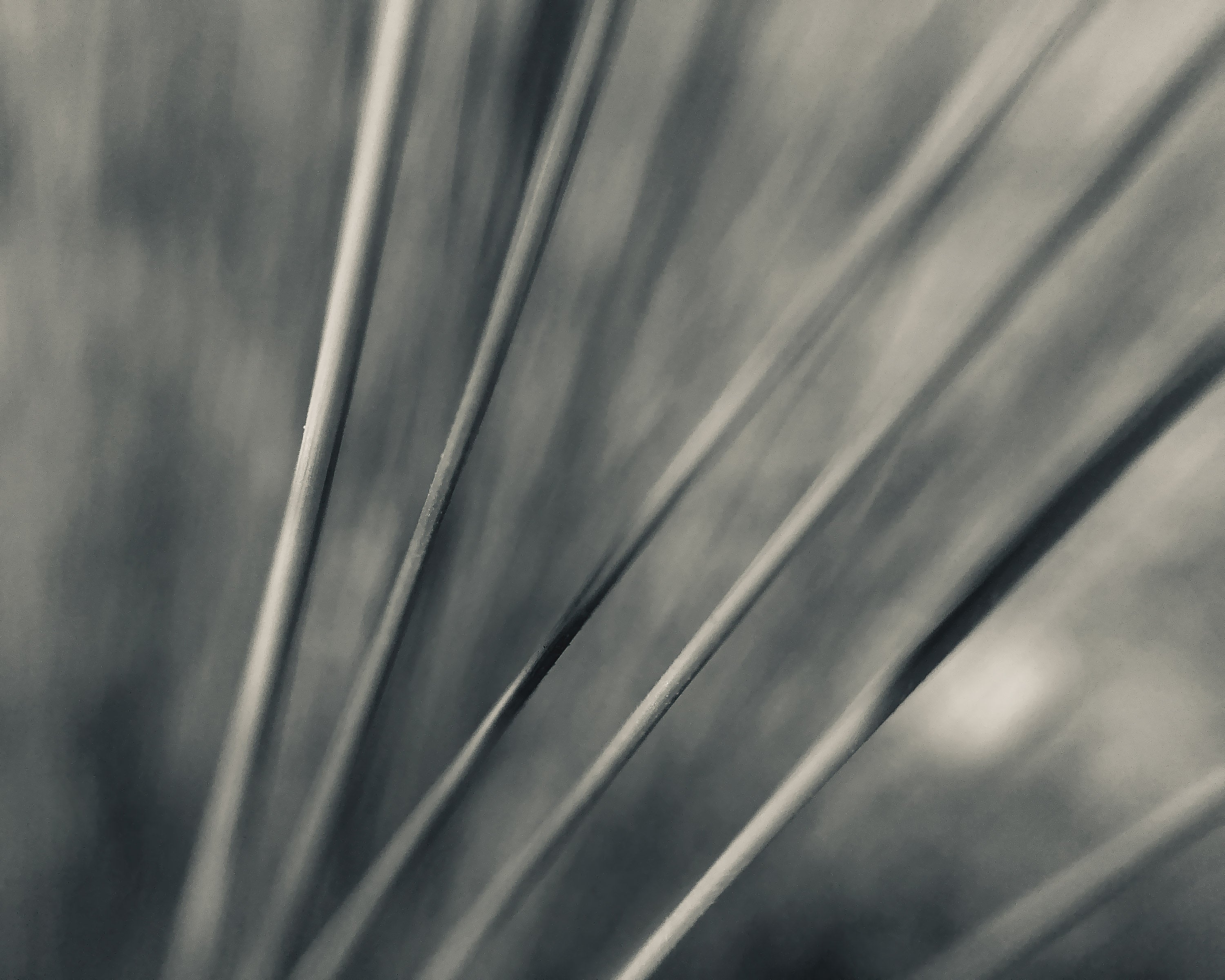 Fan Out – ArtLifting