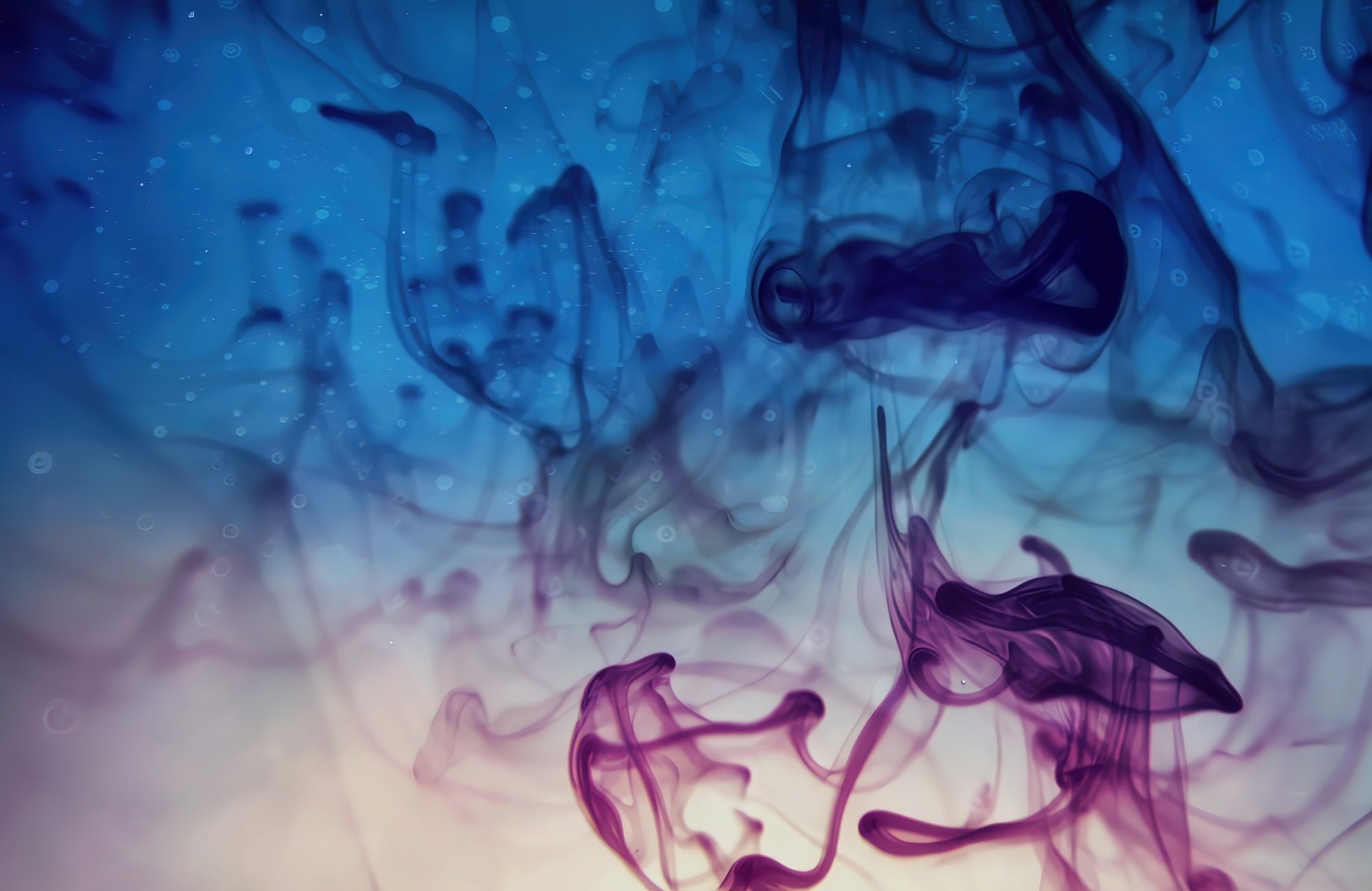 Nomads – ArtLifting