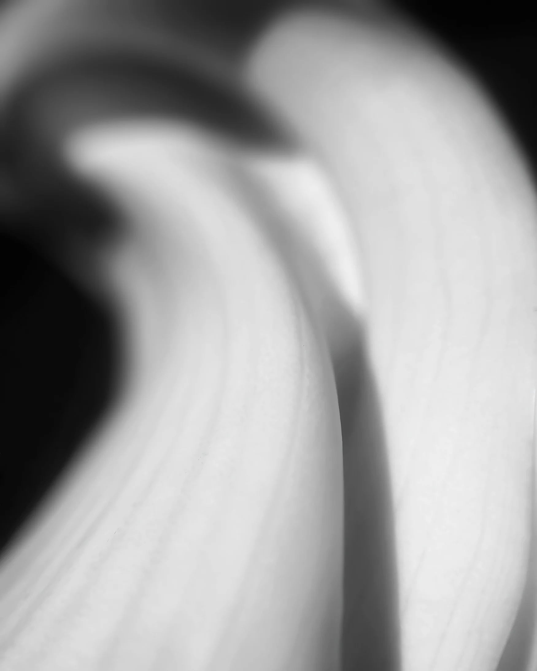 Intersection(s) – ArtLifting