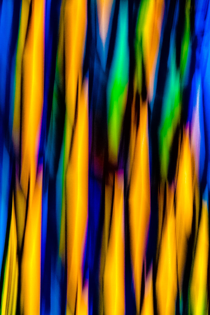 Reeds – ArtLifting