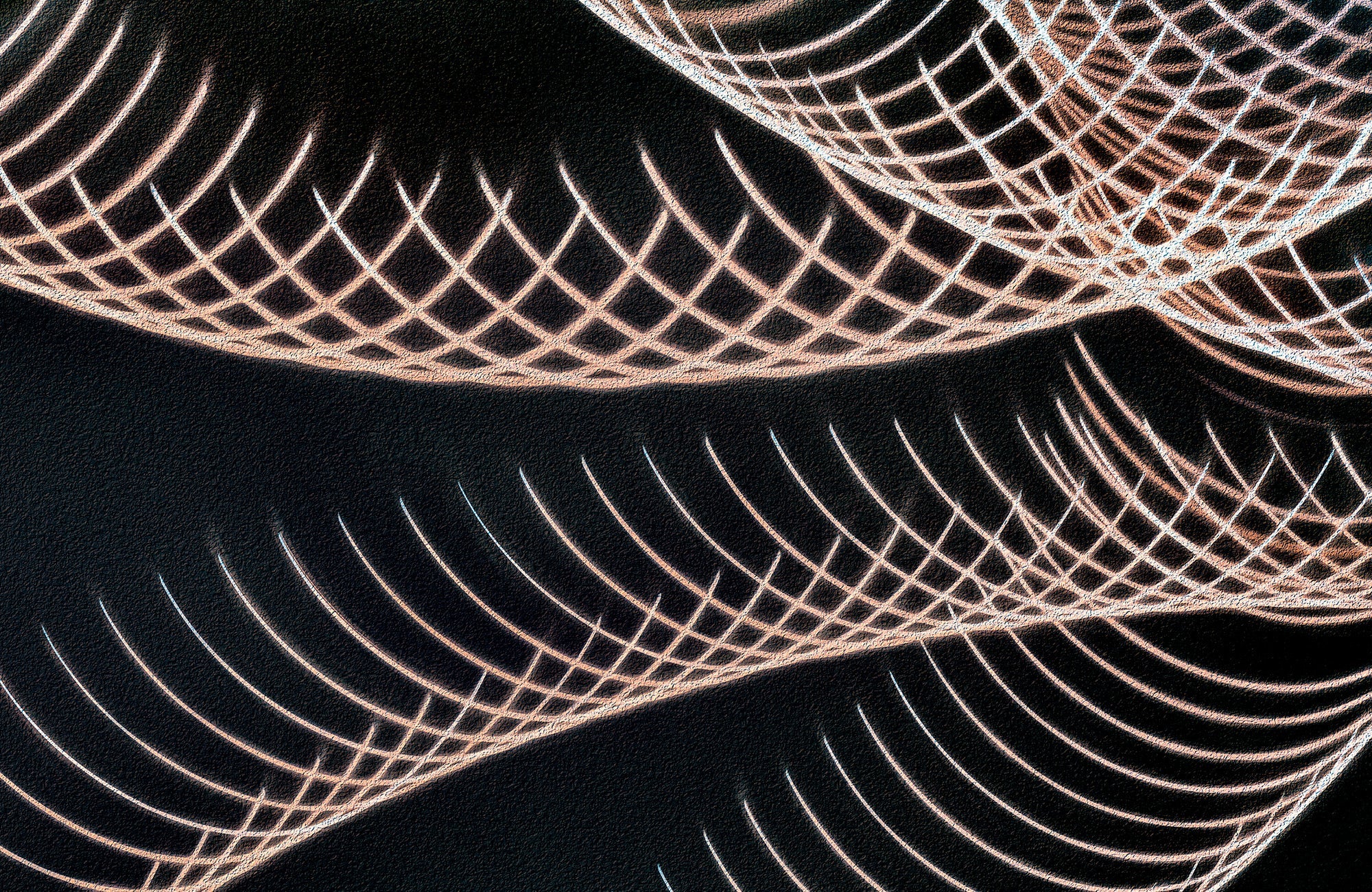 Transfigured Spark – ArtLifting