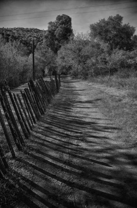 Fence Shadows – ArtLifting