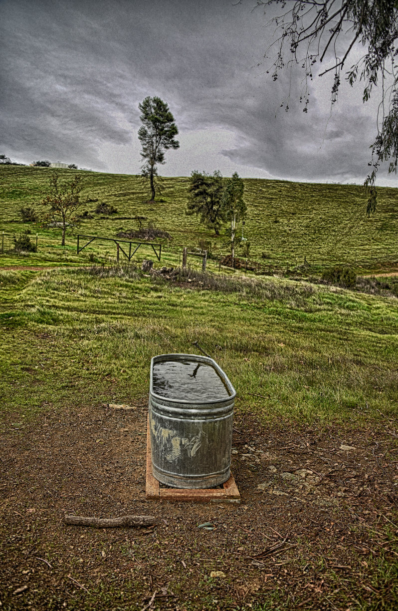 Water Trough – ArtLifting