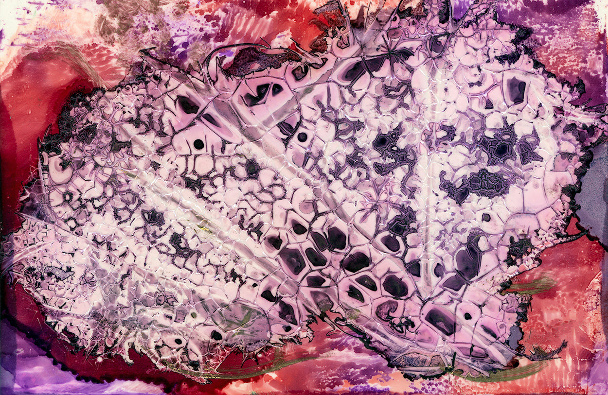 Sea Fan Crackle – ArtLifting