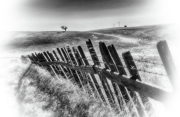 Leaning Left – ArtLifting