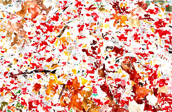 Orderly Chaos – ArtLifting